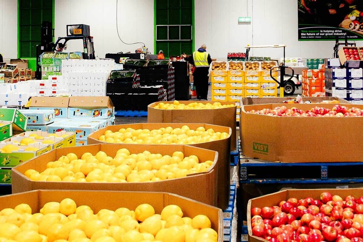 Navigating the World of Farm-to-Table Food Distribution with… | Fresho