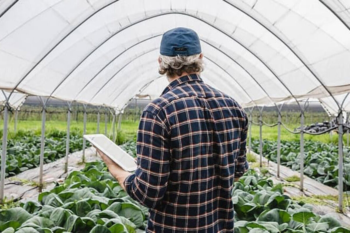 Wholesalers Guide to Moving online | Fresho: Australia