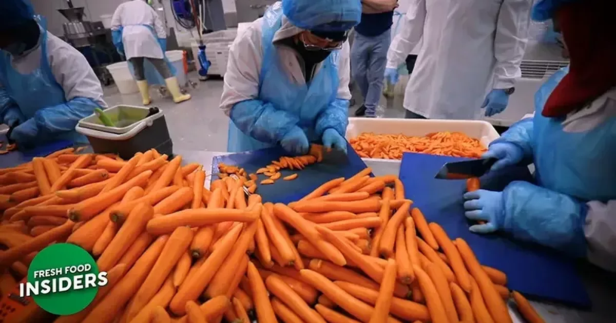 Coastal Fresh (Fresh Food Production) | Fresho