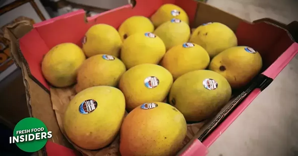 Town & Country (Breadth of Range) | Fresho