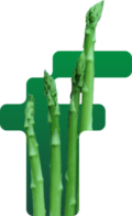 Order & Operations Management System | Fresho: UK & Ireland
