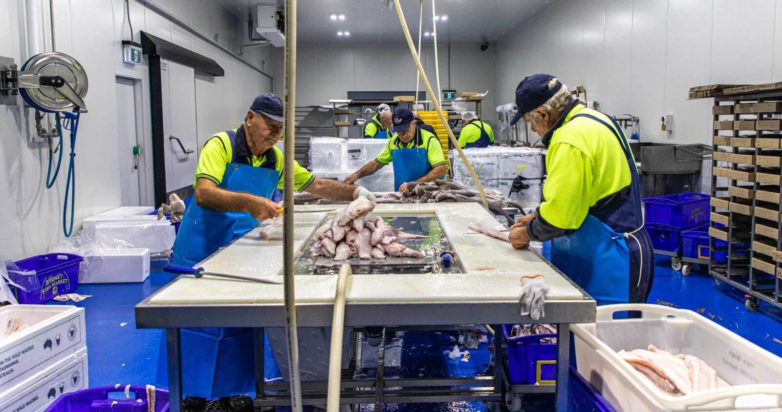 Run my operation | Fresho: Australia