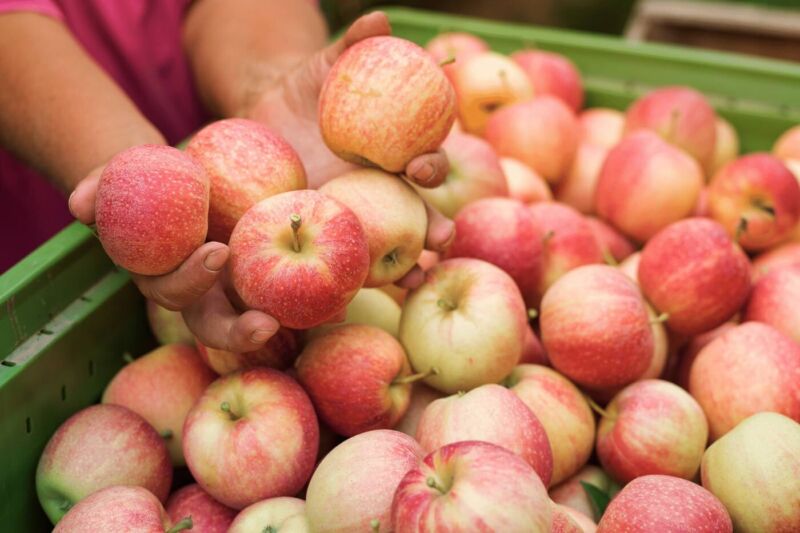 Improving Staff Turnover | Fresho: Australia